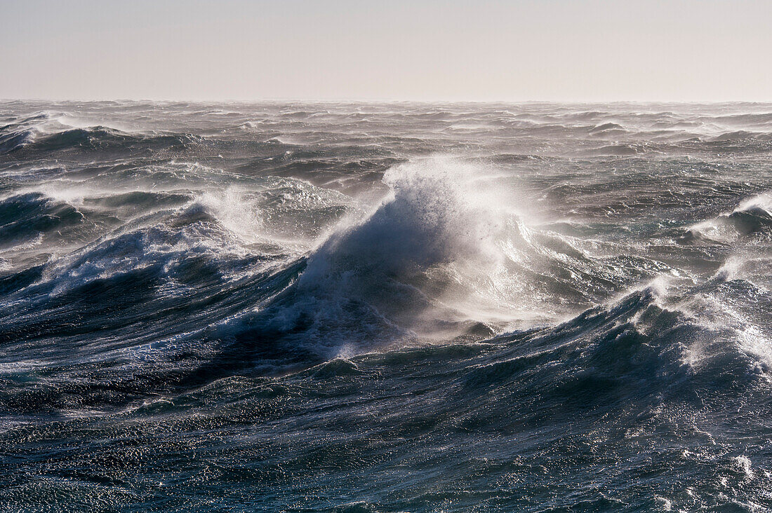 Man Drowns Saving His Son in Fort Morgan – Blue RAM Media